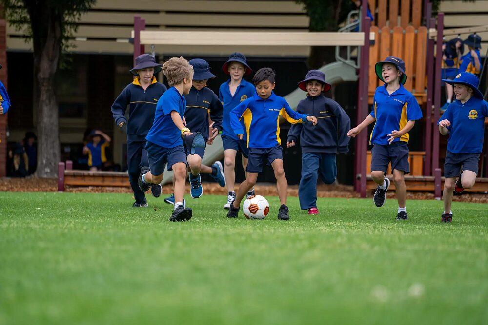 Community News - Rose Park Primary School